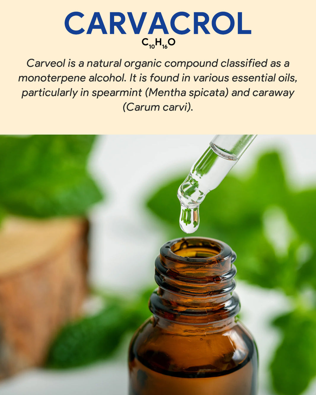 Products – Page 2 – SBBLG