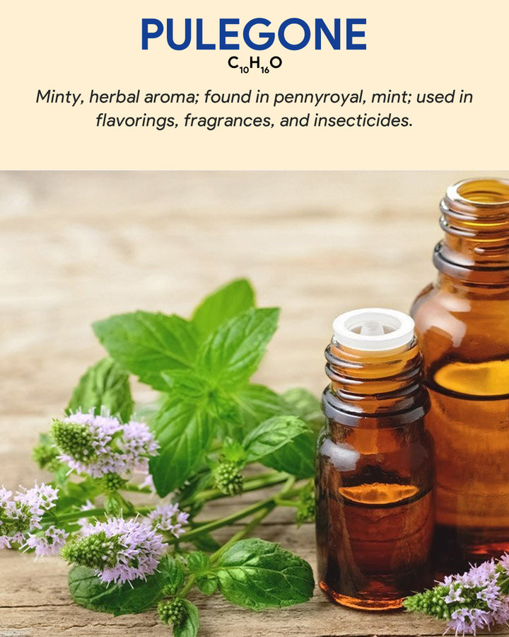 Mint Derivatives – SBBLG